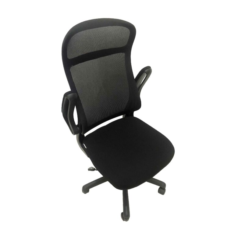 Ergodynamic EHC-210 Executive Premium High-back Mesh Chair – Cost U ...