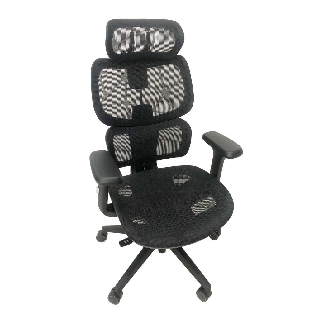 Ergodynamic HUMAN V8.0 Human Hybrid Korean Mesh Chair with Adjustable ...