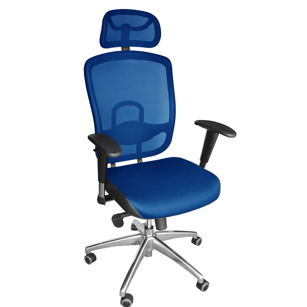 Ergodynamic EHC-80 Omega 2 Executive Mesh Chair w/ Black headrest ...